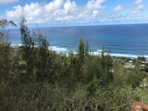 Best Hikes and Trails in Pupukea Paumalu Forest Reserve | AllTrails