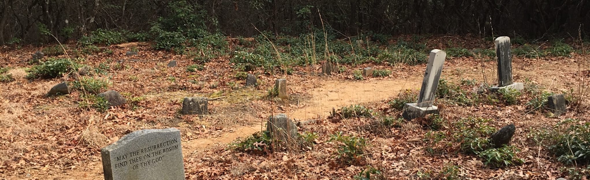Long Branch Cemetery Loop: 73 Reviews, Map - North Carolina | AllTrails