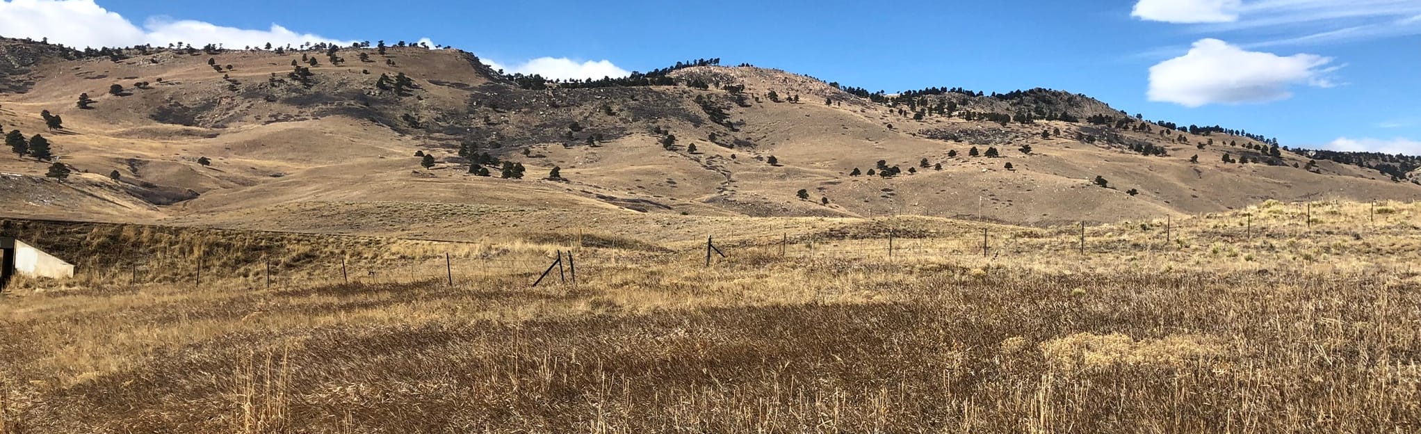 Hogback Ridge Trail, Colorado - 819 Reviews, Map | AllTrails