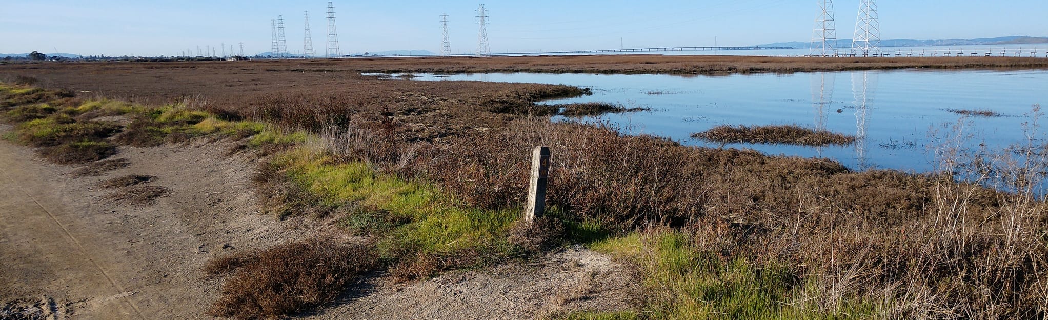 North Bayfront Loop Trail: 1381 Reviews, Map - California | AllTrails