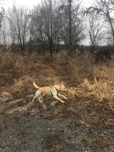 Best Hikes and Trails in Cavalier Wildlife Management Area | AllTrails