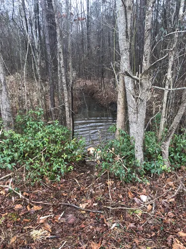 Best Hikes and Trails in Cavalier Wildlife Management Area | AllTrails