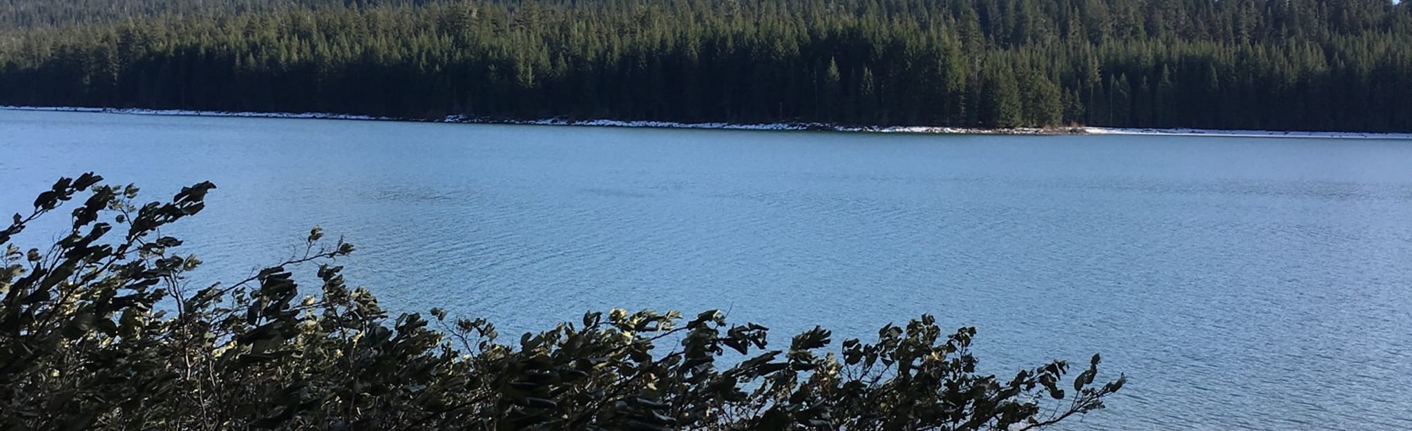 Fish Lake Trail, Oregon - 54 Reviews, Map | AllTrails