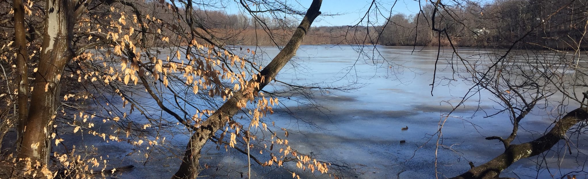 Lake Roland Red and Green Trail, Maryland - 1,341 Reviews, Map | AllTrails