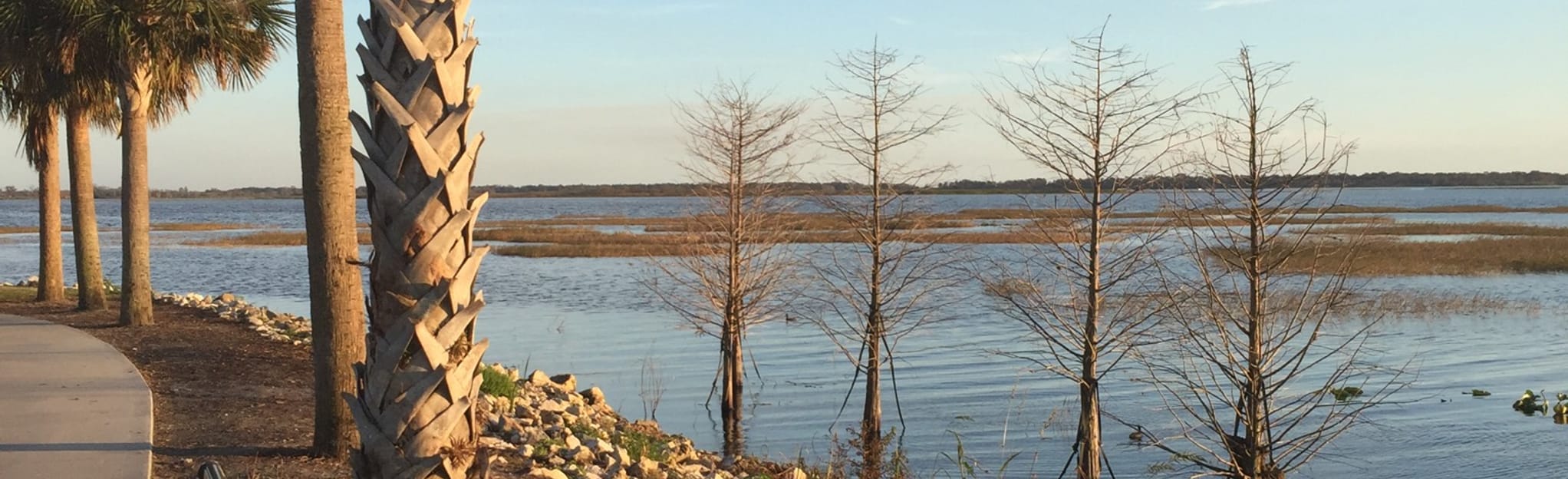 Kissimmee Lakefront Park Loop, Florida - 125 Reviews, Map | AllTrails
