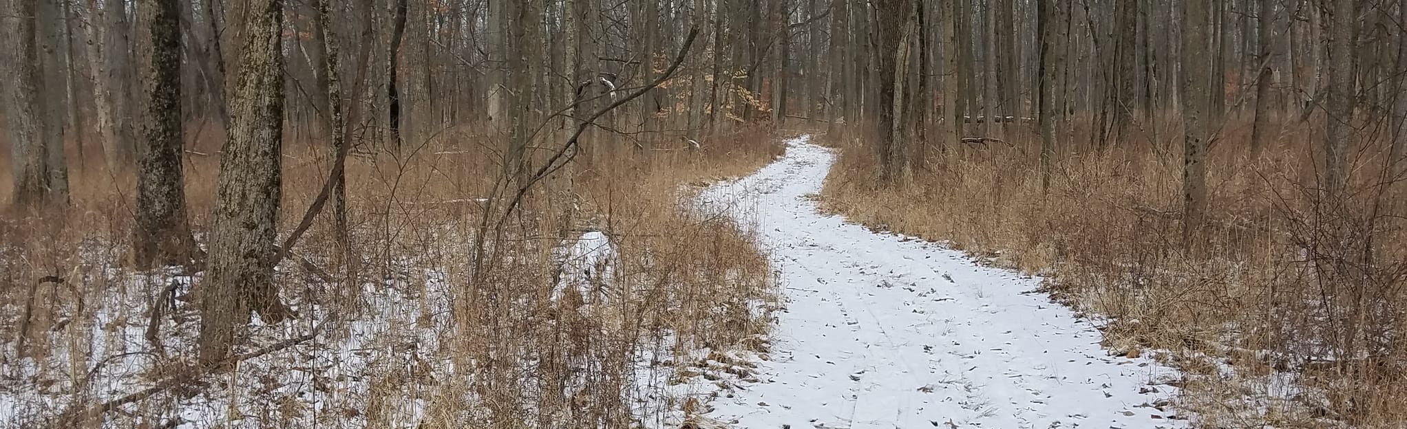 Green Trail | Map, Guide - Indiana | AllTrails