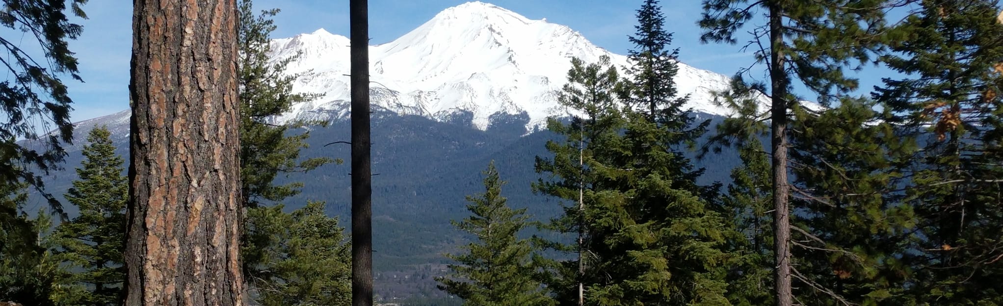 Rainbow Ridge Loop: 16 Reviews, Map - California | AllTrails