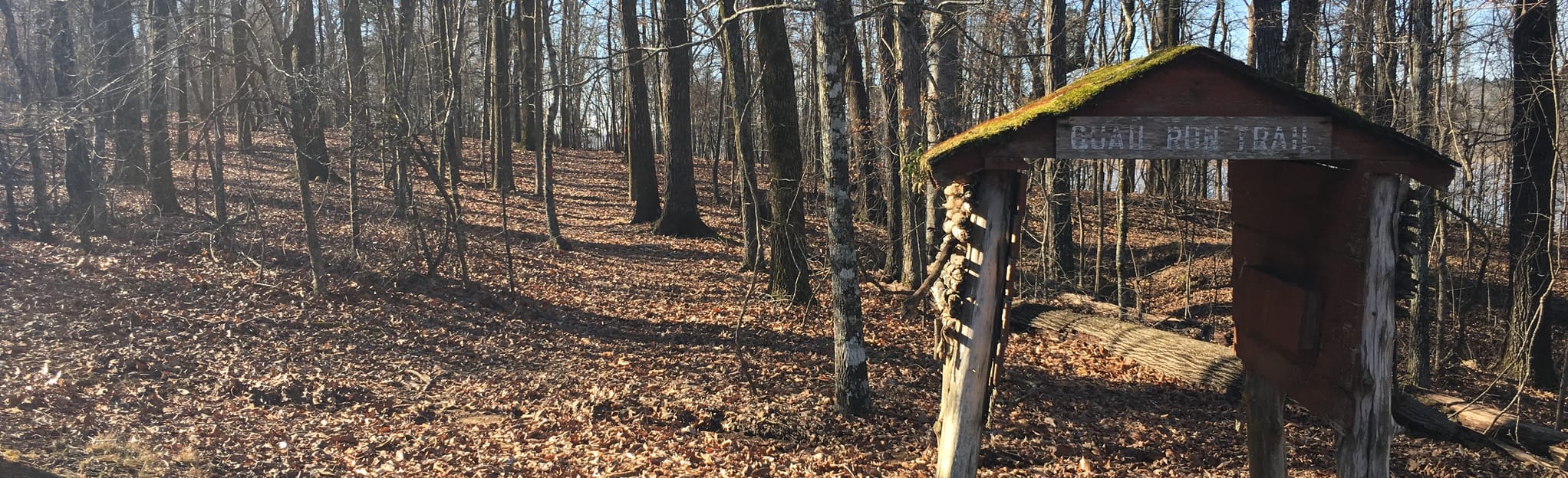 Quail Run Trail, Mississippi - 22 Reviews, Map | AllTrails