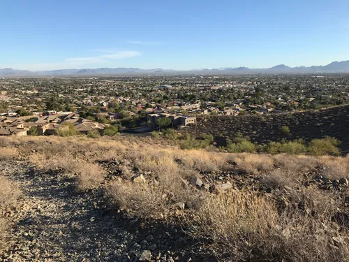 Los mejores senderos y rutas en Shadow Mountain Preserve | AllTrails