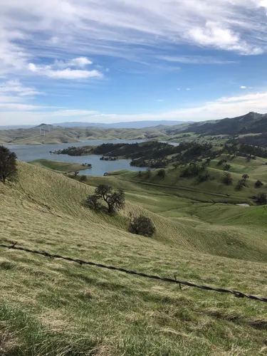 10 Best Hikes and Trails in Los Vaqueros Reservoir and Watershed ...