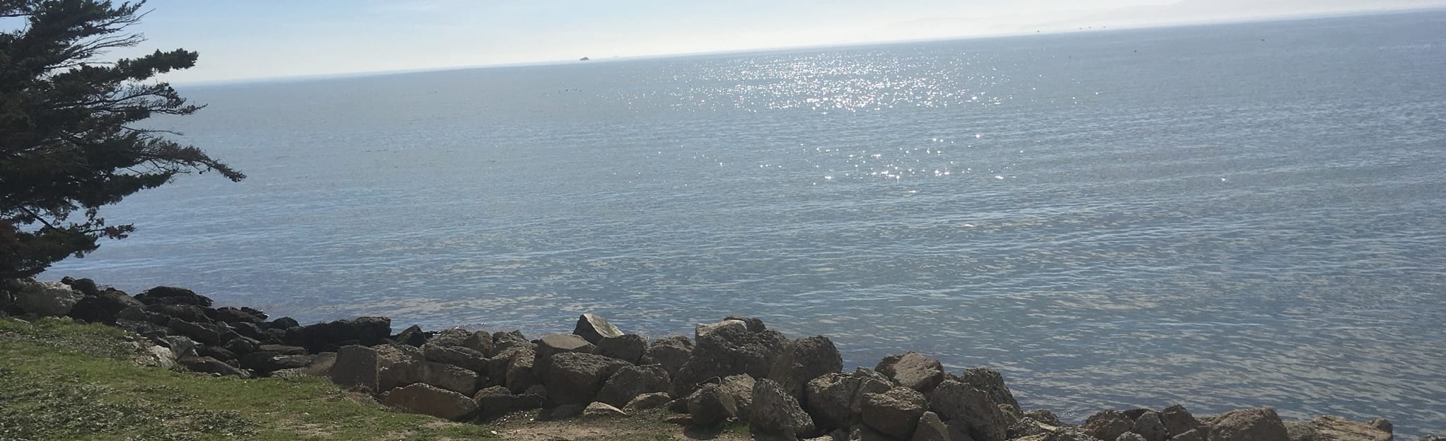 Candlestick Point, California - 118 Reviews, Map | AllTrails