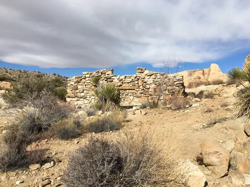 10 Best Off Road Driving Trails in Joshua Tree National Park | AllTrails