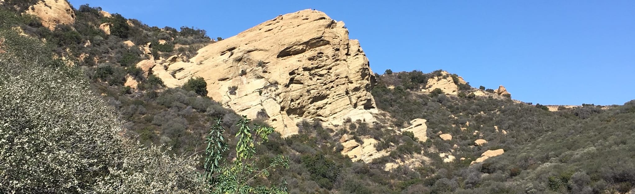 Trippet Ranch to Eagle Springs Loop Trail, California - 712 Reviews ...