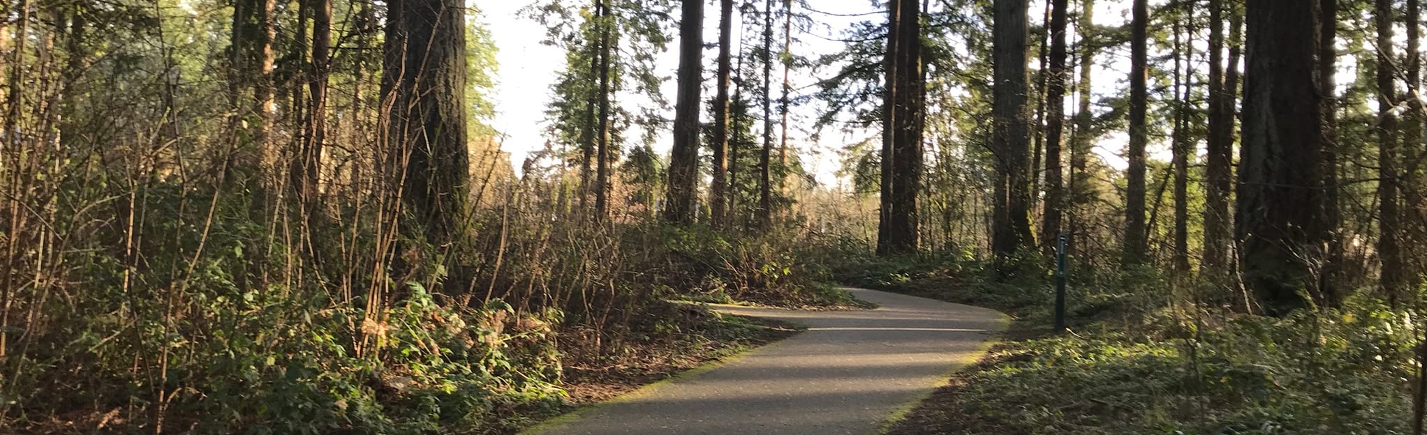 Lowami Hart Woods to Mount Williams to Burntwood Loop, Oregon - 296 ...