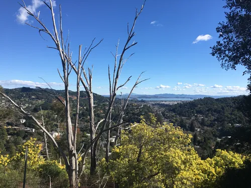 Best Hikes And Trails In San Anselmo Alltrails