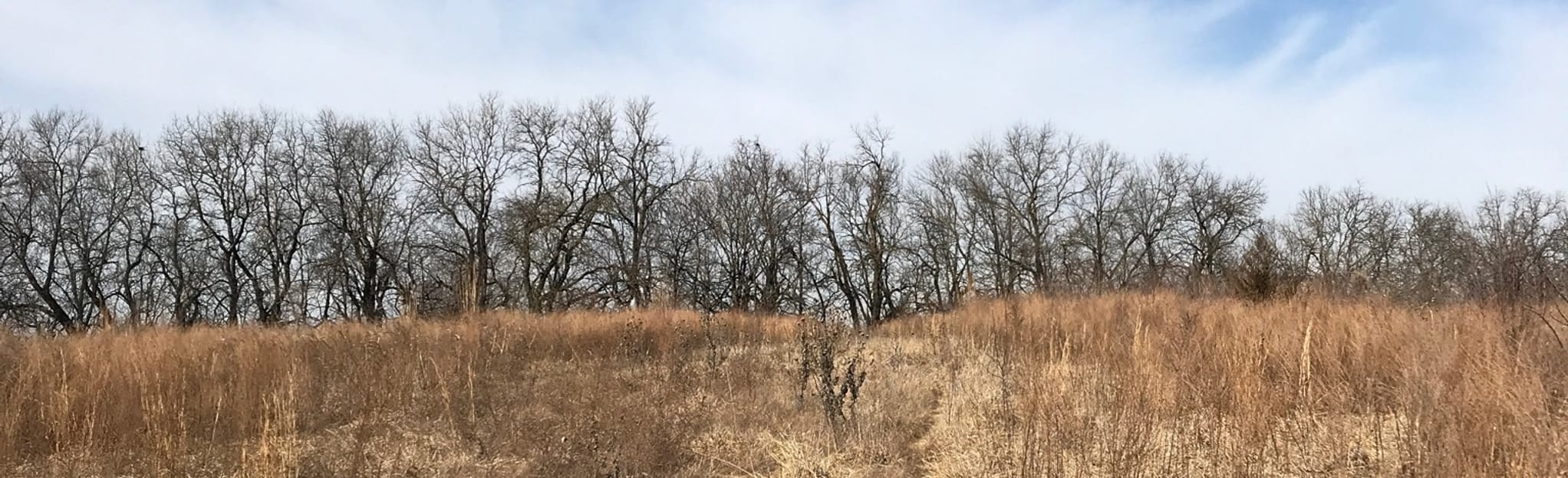 Kenneth W Bernard Park Loop, Kansas - 48 Reviews, Map | AllTrails