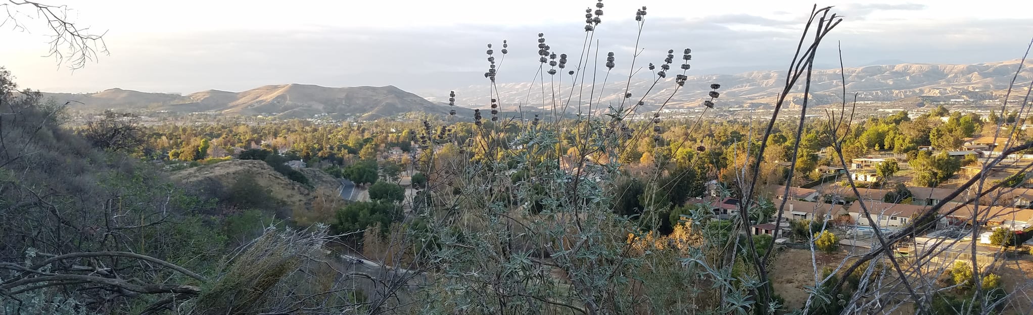 Challenger Park Extended Loop: 94 Reviews, Map - California | AllTrails