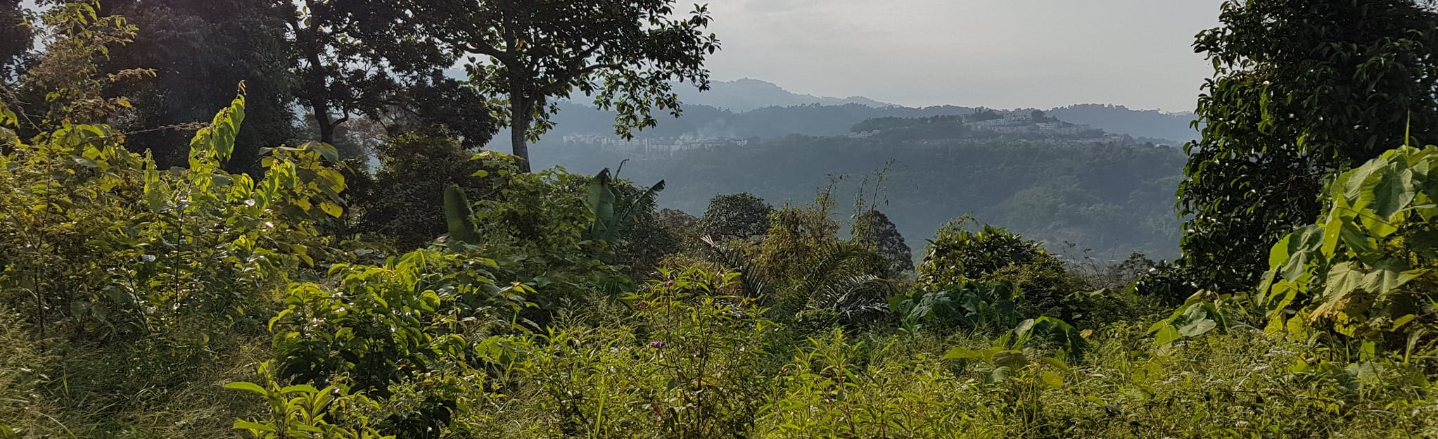 Bukit Pau via Kemensah Extended Loop - Selangor, Malaysia | AllTrails