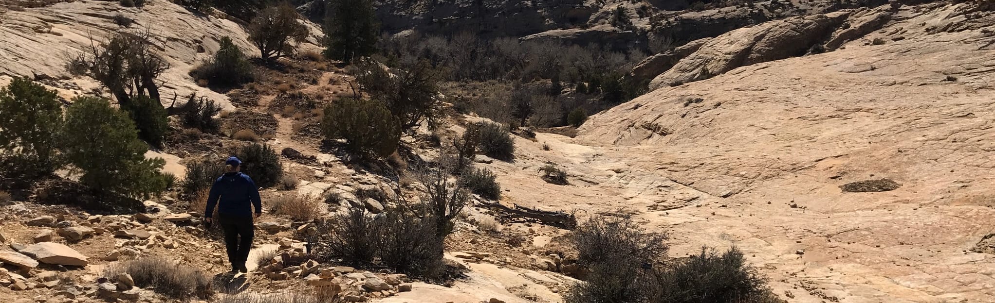 Butler Wash Interpretive Trail, Utah - 220 Reviews, Map | AllTrails