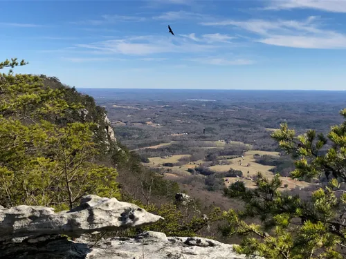 10 Best Hikes and Trails in Hanging Rock State Park | AllTrails