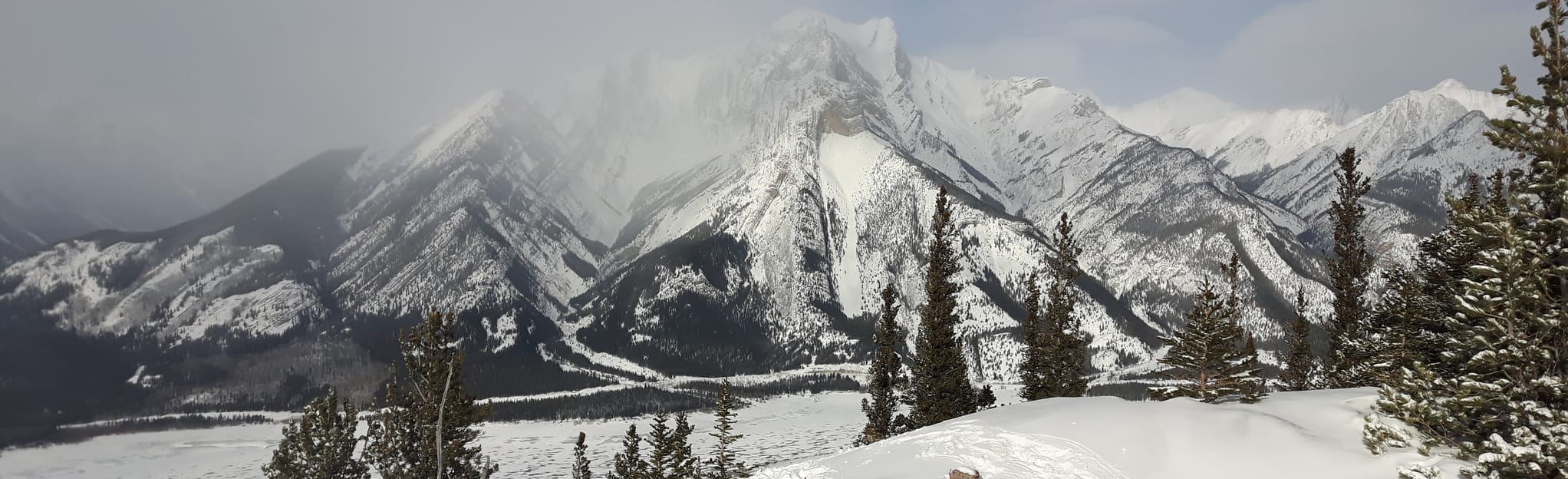 Mount Michener: 12 Fotos - Alberta, Canadá | AllTrails