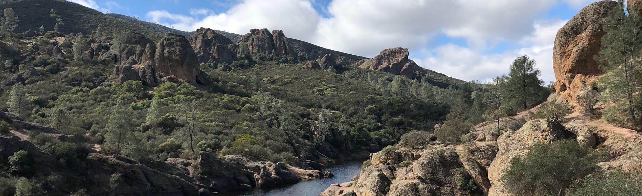 Pinnacles Greatest Hits, California - 439 Reviews, Map | AllTrails