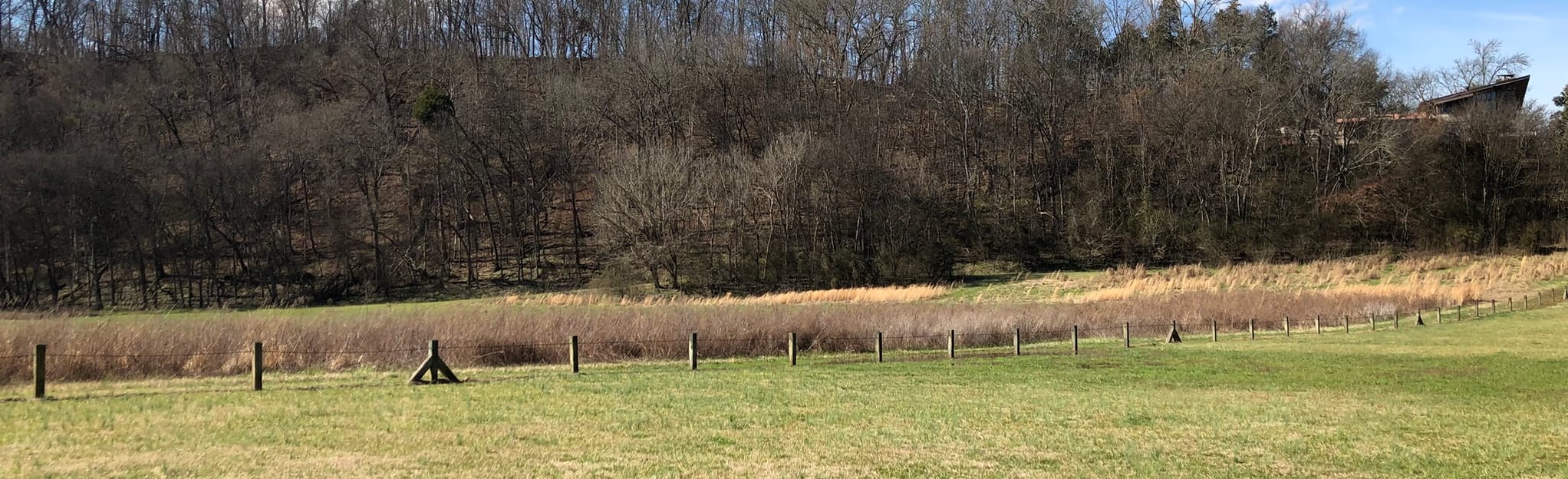 Seclusion Bend Trail, Tennessee - 616 Reviews, Map | AllTrails