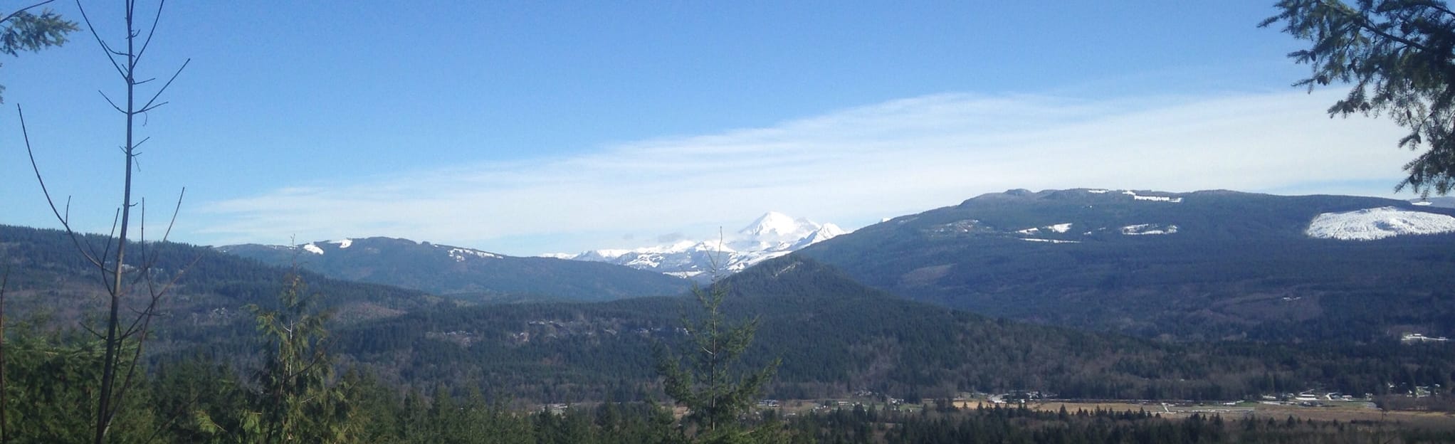 Lizard Bat Loop, Washington - 86 Reviews, Map | AllTrails