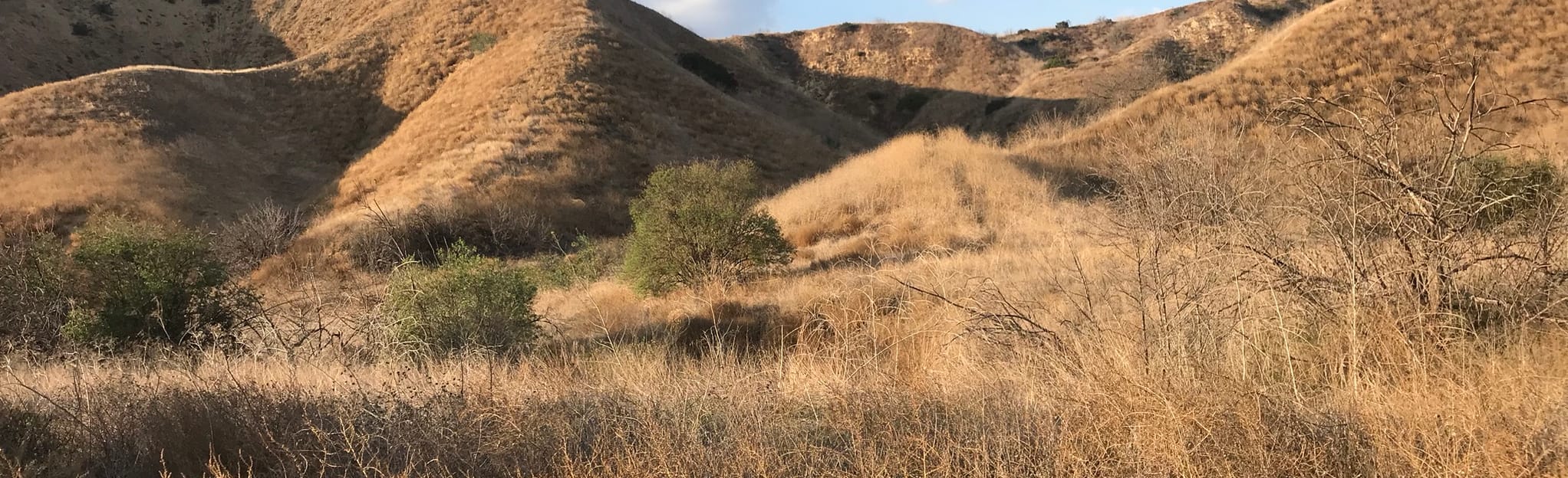 Telegraph Canyon North Ridge Loop Trail, California - 98 Reviews, Map ...