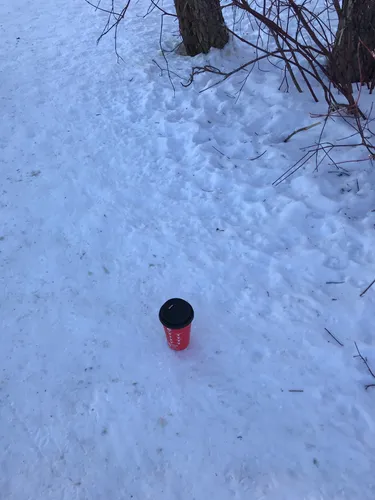 Best Hikes and Trails in Elbow Valley Clearwater Park | AllTrails