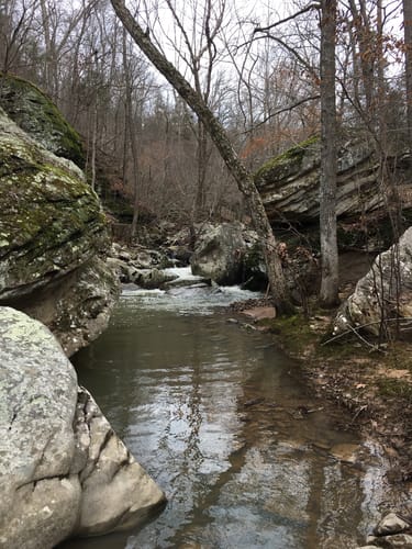 Best Hikes and Trails in Dixon Springs State Park | AllTrails
