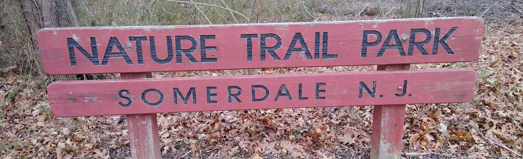 Somerdale Nature Park, New Jersey - 34 Reviews, Map | AllTrails