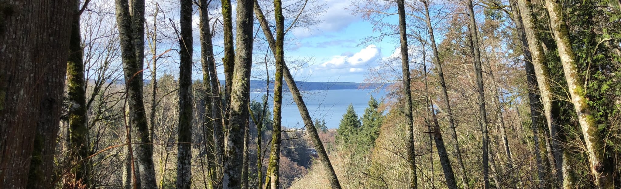 Japanese Gulch, Quarrible, and Mukraker Loop, Washington - 59 Reviews, Map | AllTrails