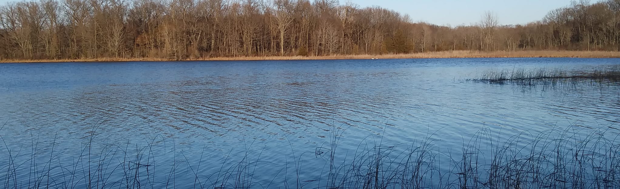 Portman Nature Preserve, Michigan - 407 Reviews, Map | AllTrails