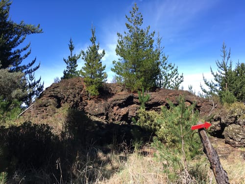 Bedste vandreture og ruter i Polipoli Spring State Recreation Area ...
