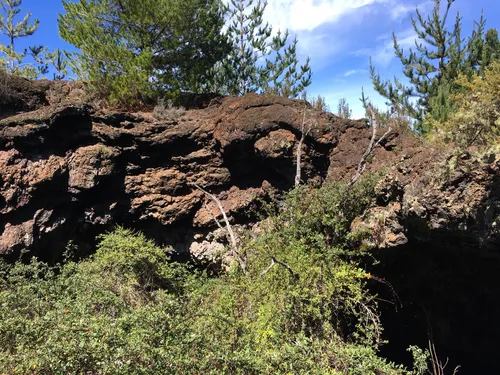 Best Hikes and Trails in Polipoli Spring State Recreation Area | AllTrails