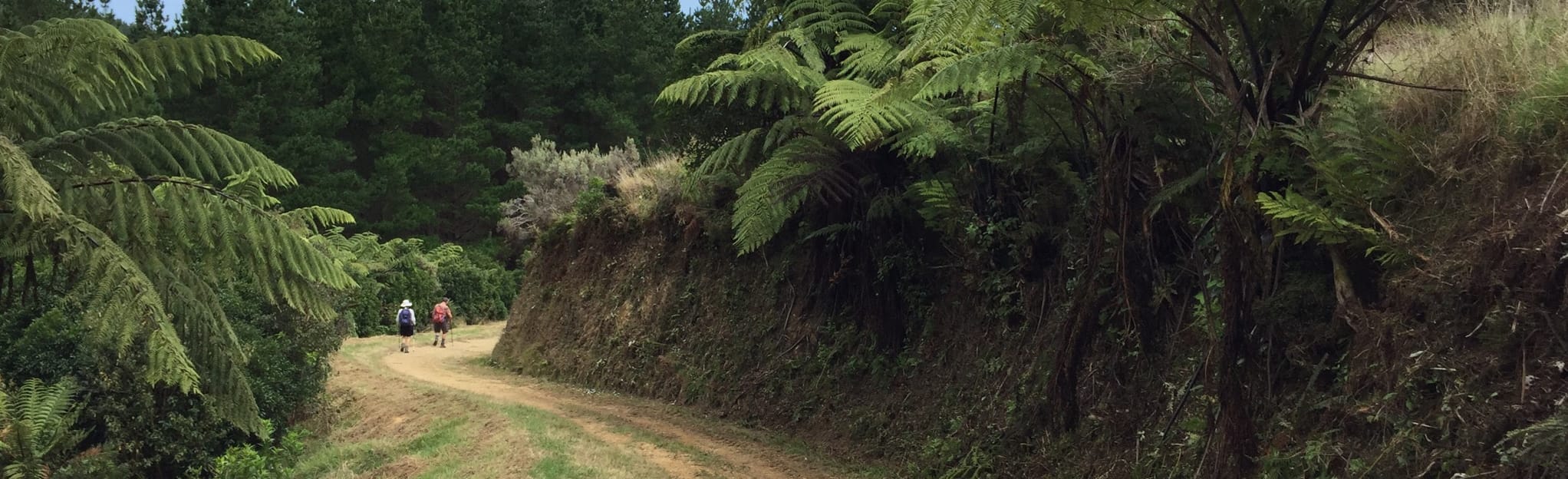 Battle Hill Puketiro Loop: 47 Reviews, Map - Wellington, New Zealand ...