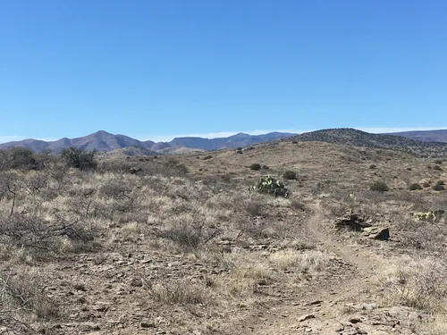 10 Best Trails and Hikes in Black Canyon City | AllTrails