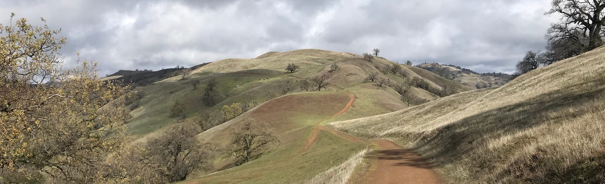 Perimeter Loop Hike, California - 45 Reviews, Map | AllTrails