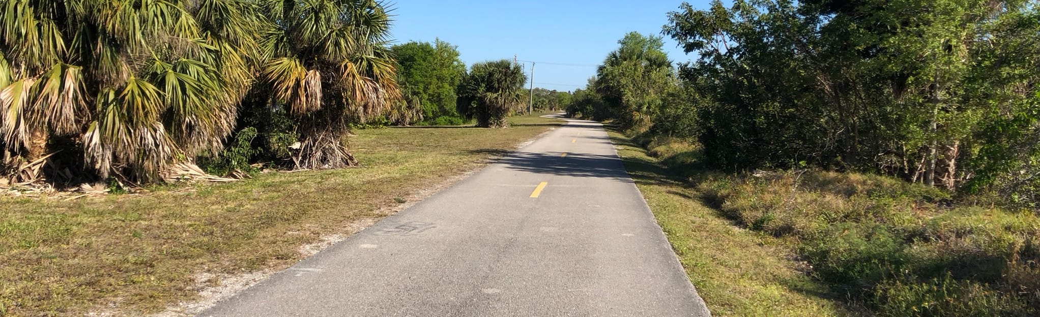 El Rio Trail: 90 fotos - Florida | AllTrails