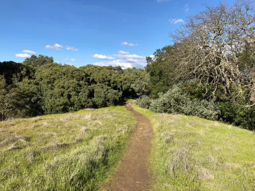 Best 10 Hiking Trails in Almaden Quicksilver County Park | AllTrails
