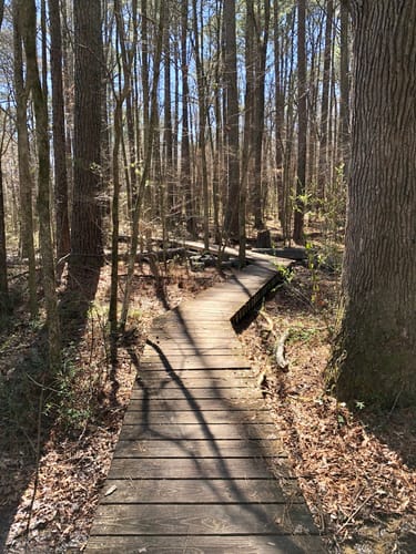 Best Hikes and Trails in Red Clay State Park | AllTrails