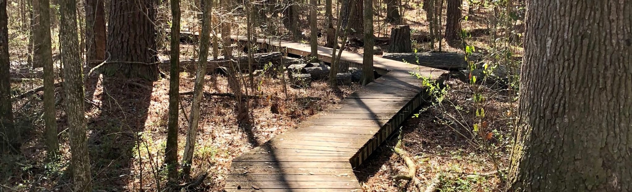 Blue Hole Double Loop: 46 Reviews, Map - Tennessee | AllTrails