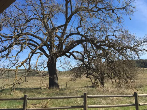 10 Best Hikes and Trails in Cheeseboro/Palo Comado Canyons | AllTrails