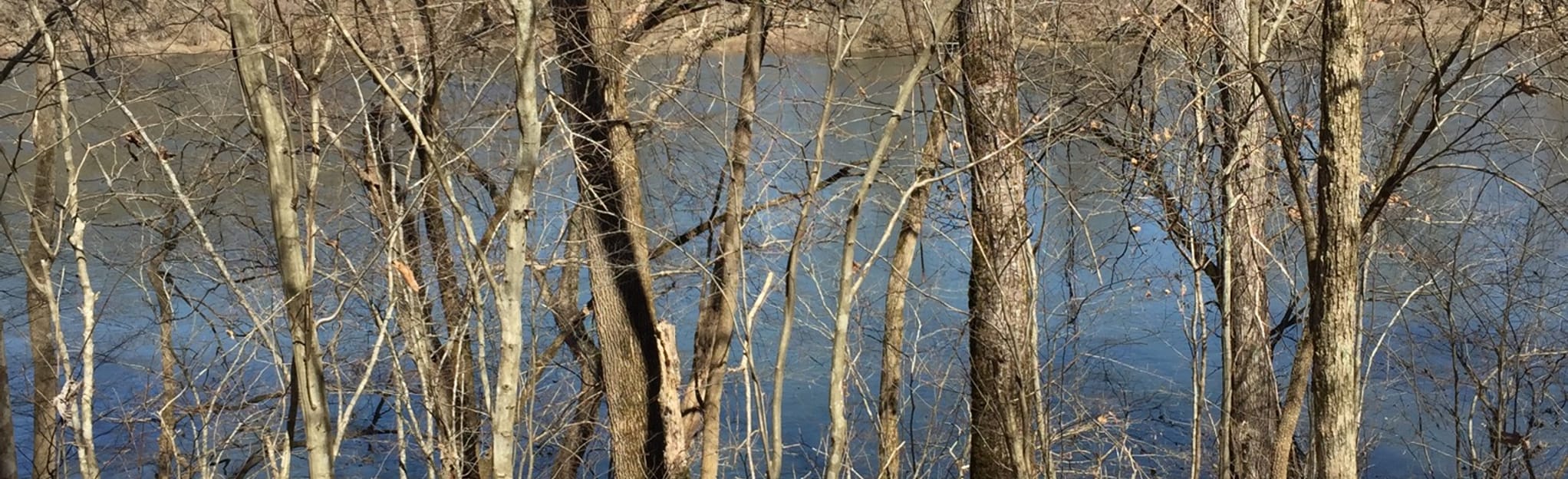 Matney Camp Trail: 6 Reviews, Map - Arkansas | AllTrails