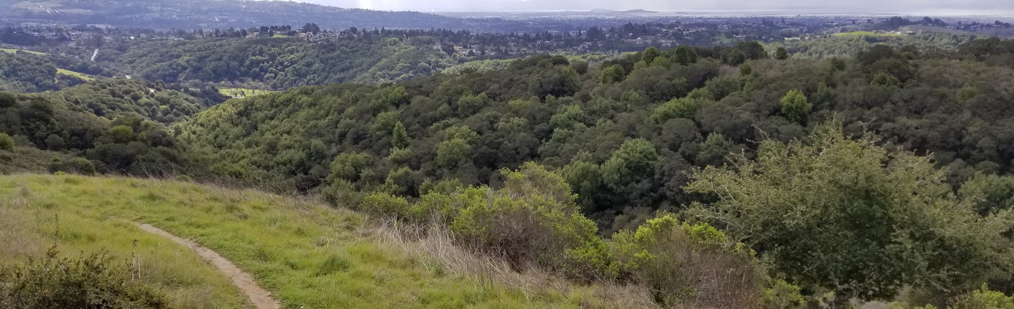 Bay Area Ridge Trail: Anthony Chabot Regional Park | Map, Guide ...