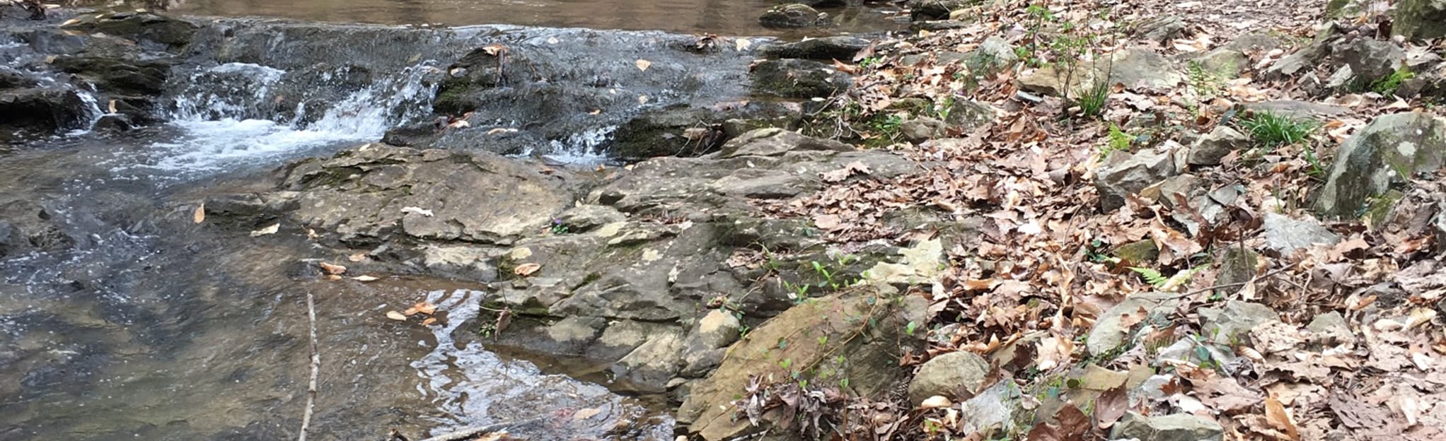 Foothills Trail, West Ridge Trail, and White Trail Loop, Alabama - 51 ...