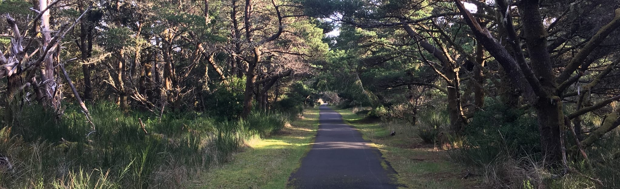Kestrel Dune and Columbia Beach Loop: 26 Reviews, Map - Oregon | AllTrails