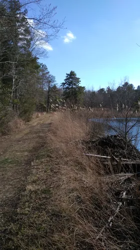 Best 10 Hiking Trails in Estell Manor Park | AllTrails