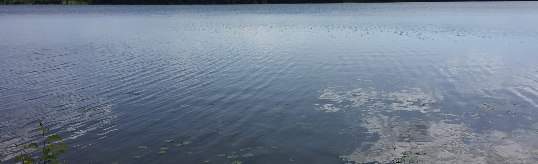 Cross Lake Trail : 1 Reviews, Map - Manitoba, Canada | AllTrails